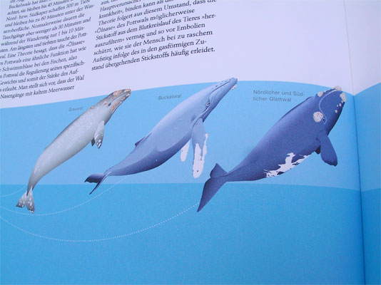 Sandra Janzen Design