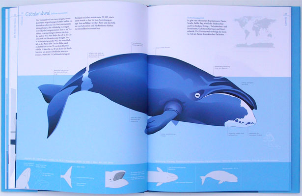 Sandra Janzen Design