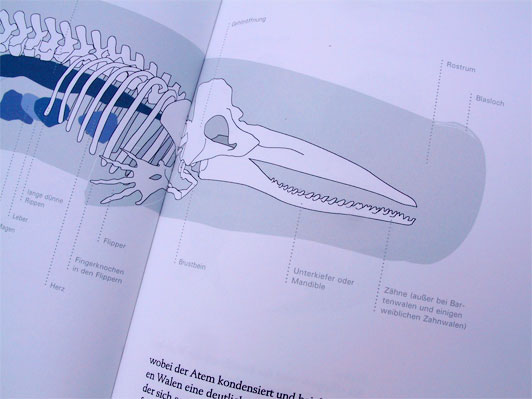 Sandra Janzen Design