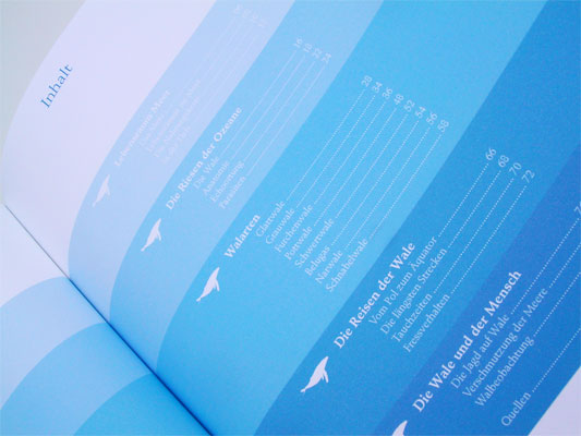 Sandra Janzen Design